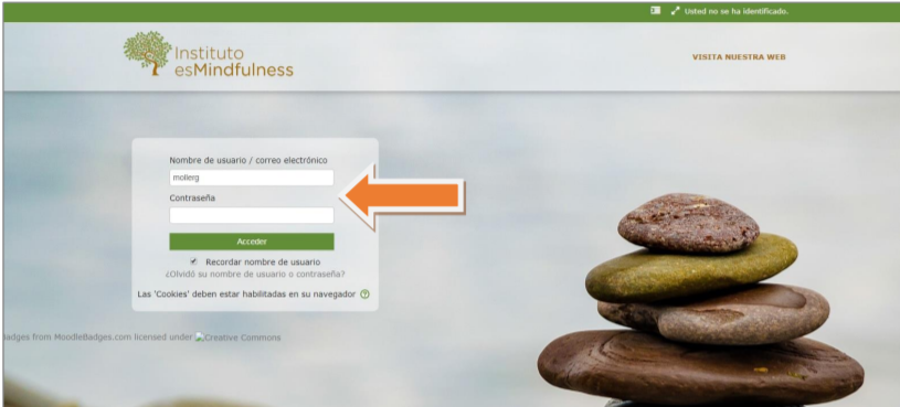 Guía didáctica y del Campus Virtual: Acceso al Aula Virtual